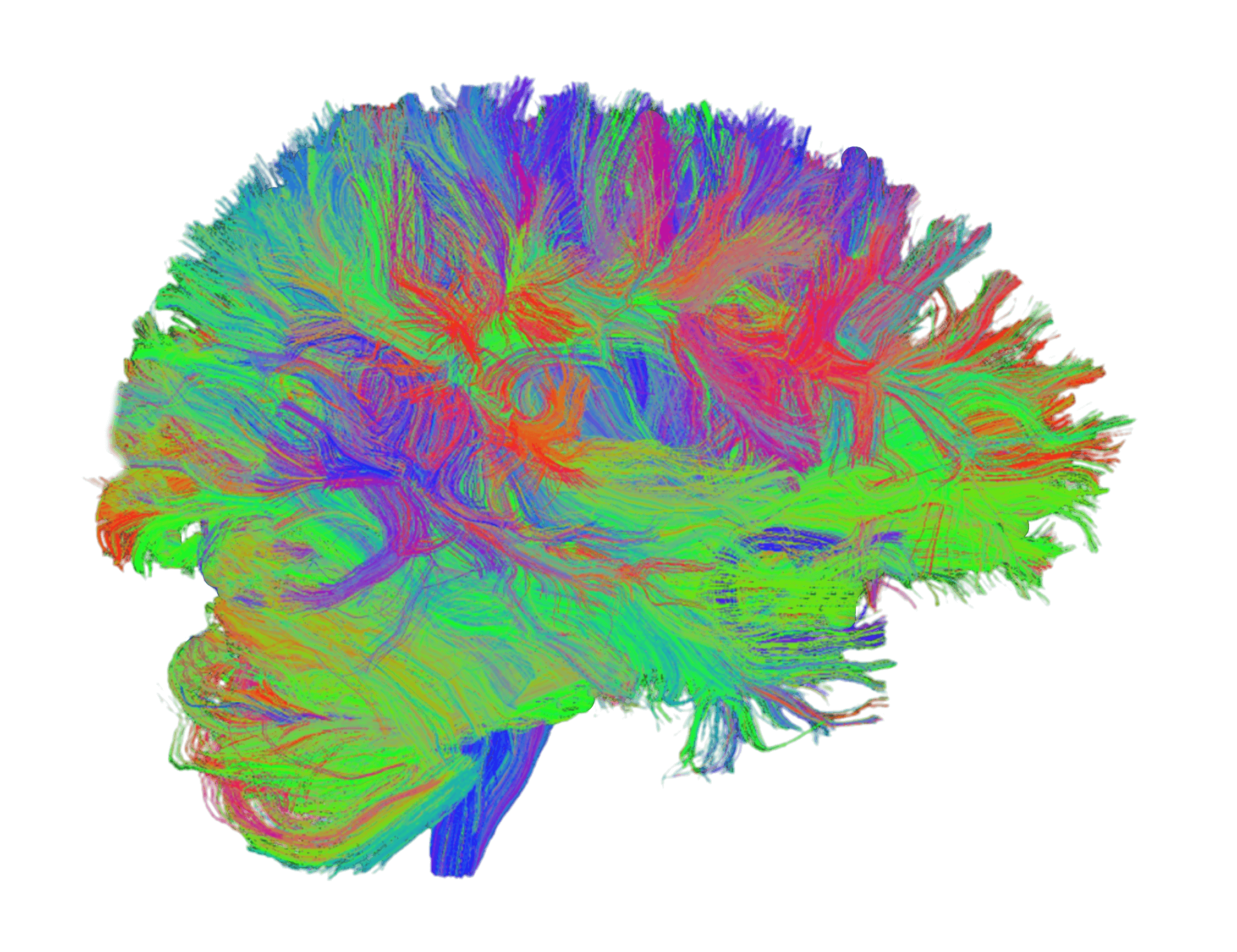Science - re-origin | Retrain Your Brain