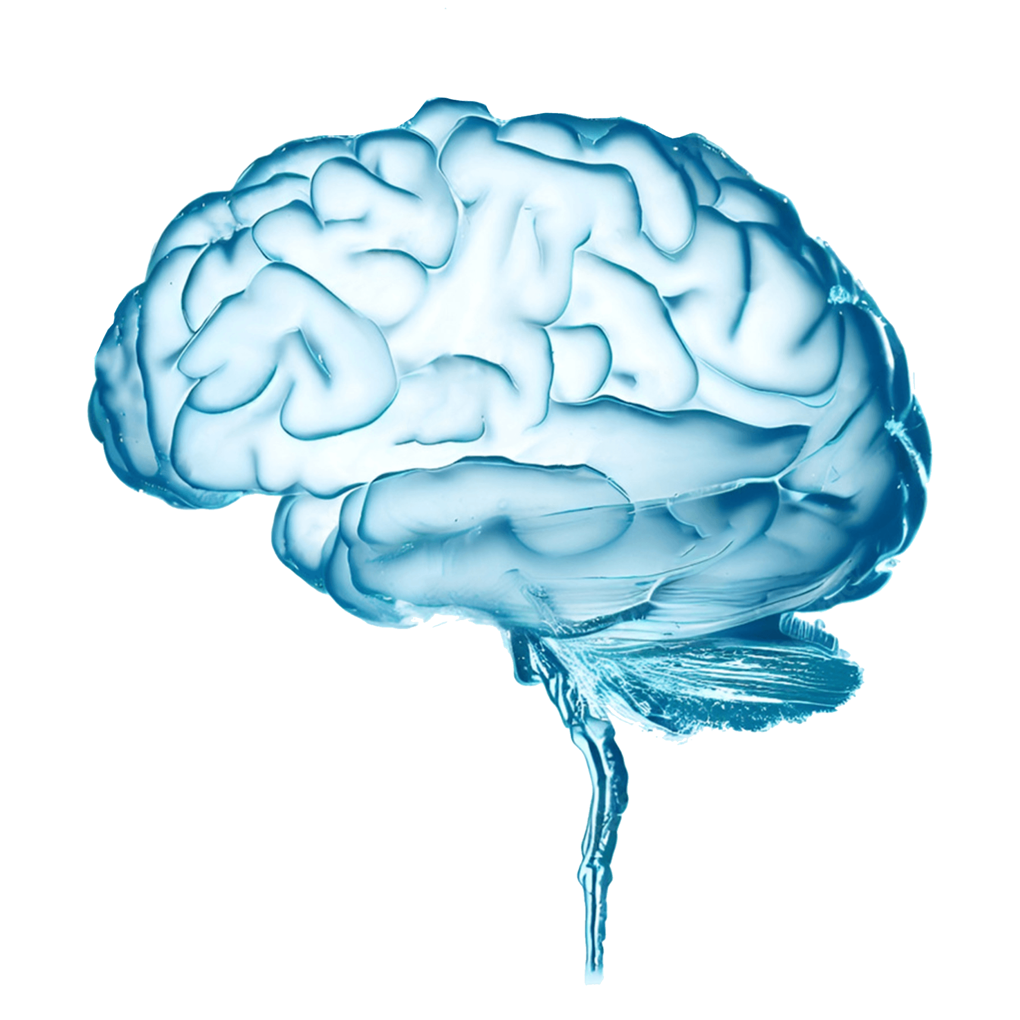 Science - re-origin | Retrain Your Brain