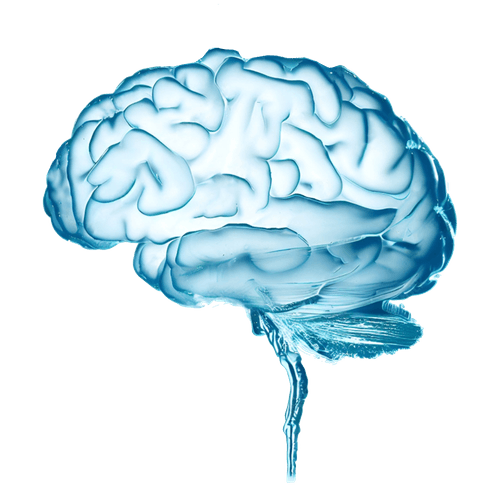 Science - re-origin | Retrain Your Brain