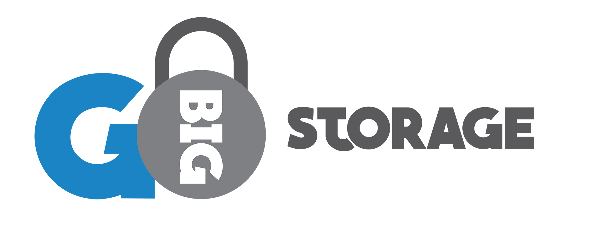 GoBigStorage - Get Your Flexible Storage Now