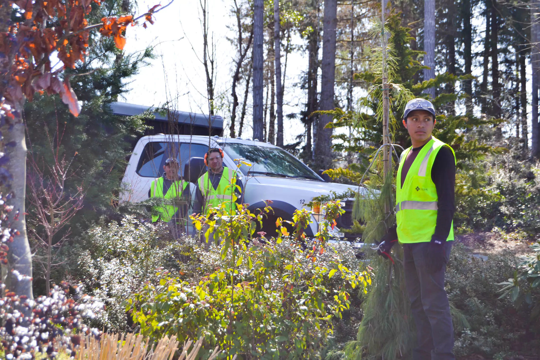 About Nasim Landscape | Landscaping Experts Since 1998