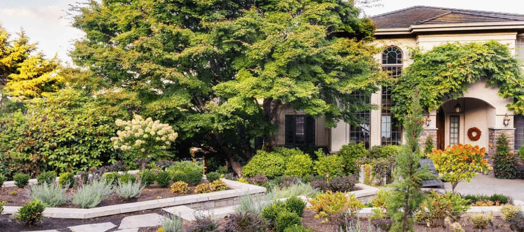 Pacific Landscape Management