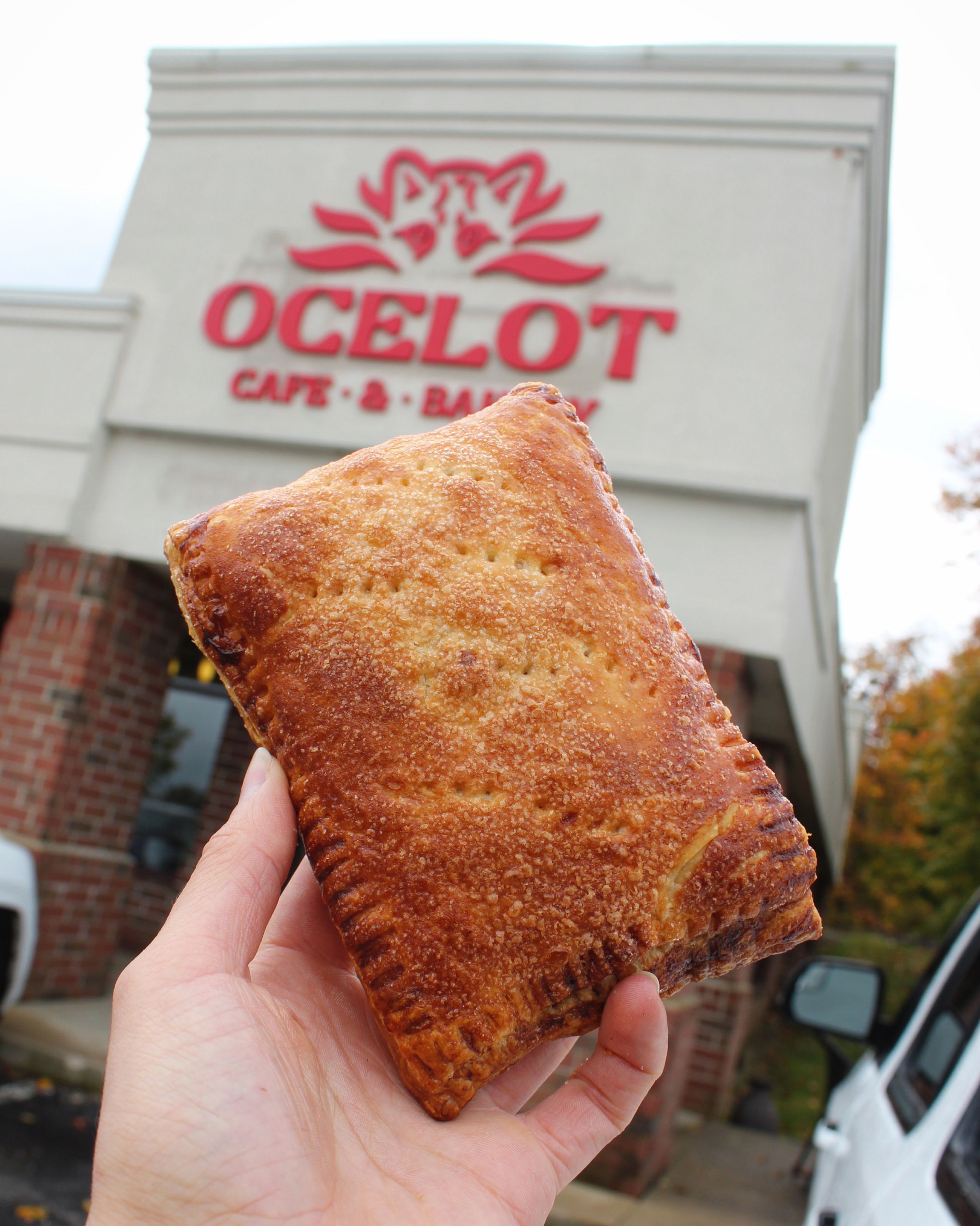 Ocelot Cafe & Bakery