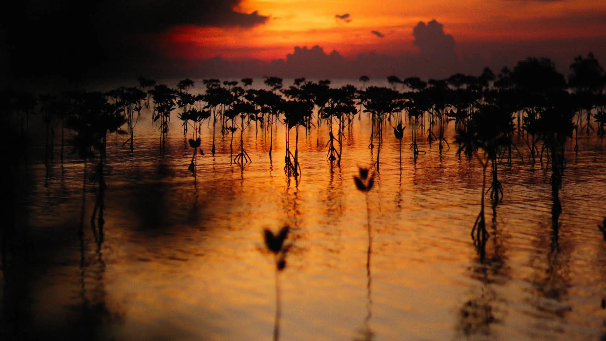 Resources - Fair Carbon