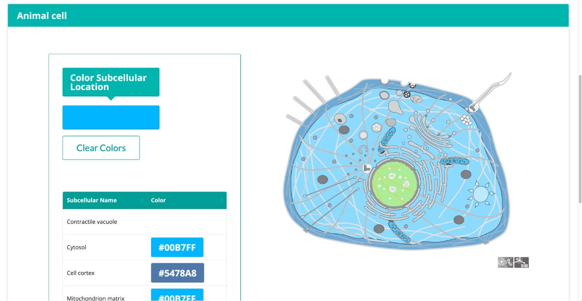 R Shiny App Gallery - Dashboards and Data Visualizations