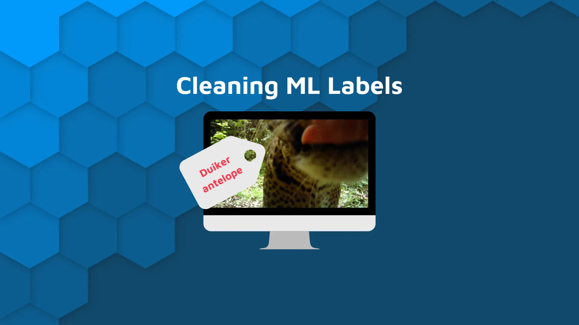 ML Data Labeling: Cleaning ML Labels for Biodiversity Projects