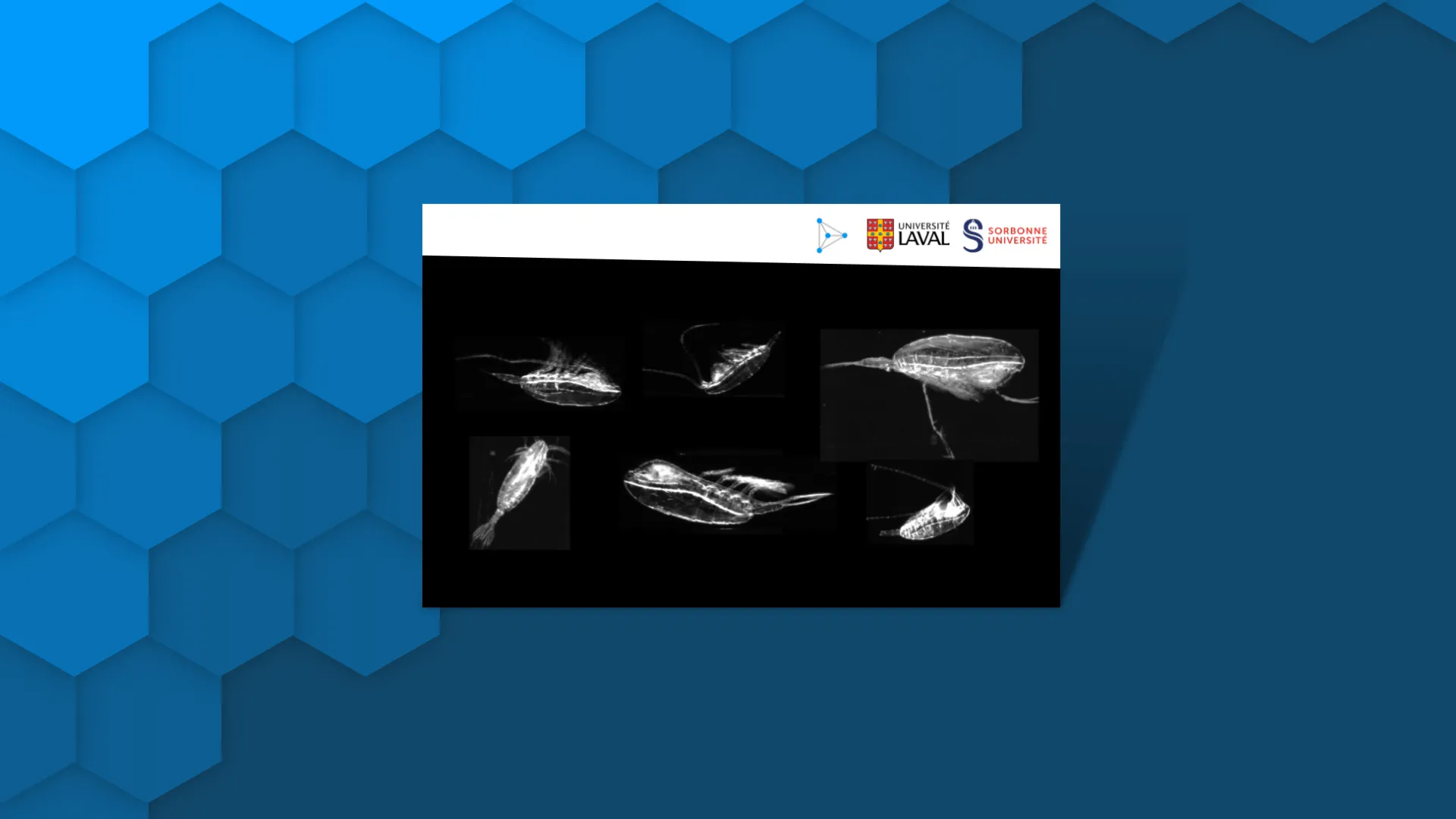 Monitoring Marine Ecosystems with Machine Learning and Neural Networks