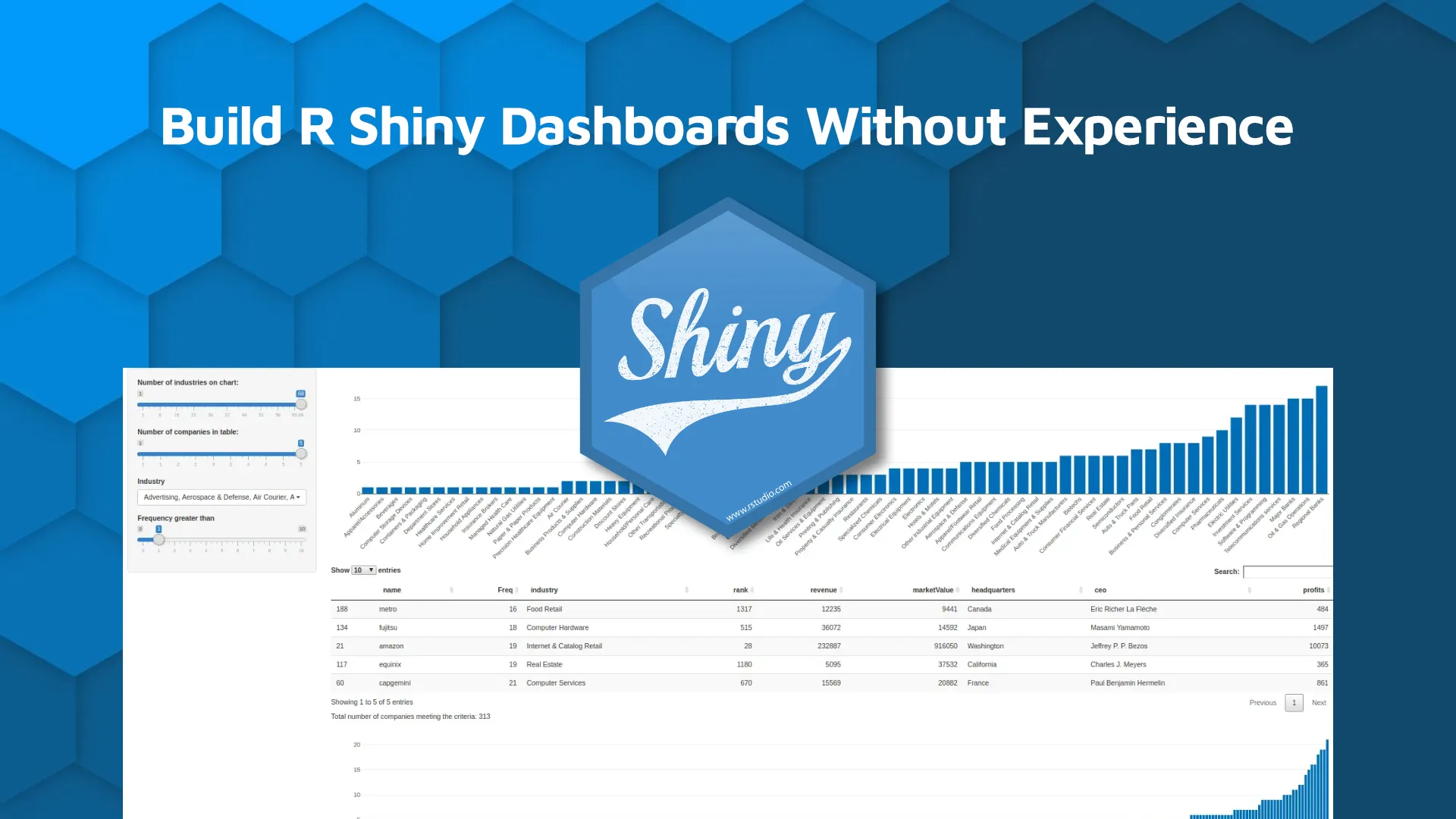 How I built an interactive Shiny dashboard in 2 days without any experience in R - R Shiny ...