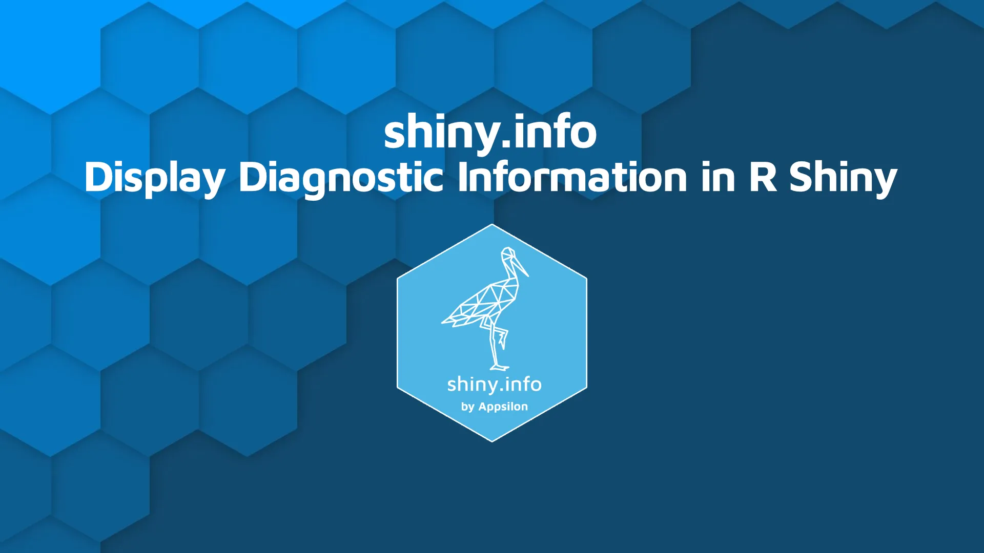 Diagnostic Information for R Shiny Apps: Appsilon's Shiny.info Package