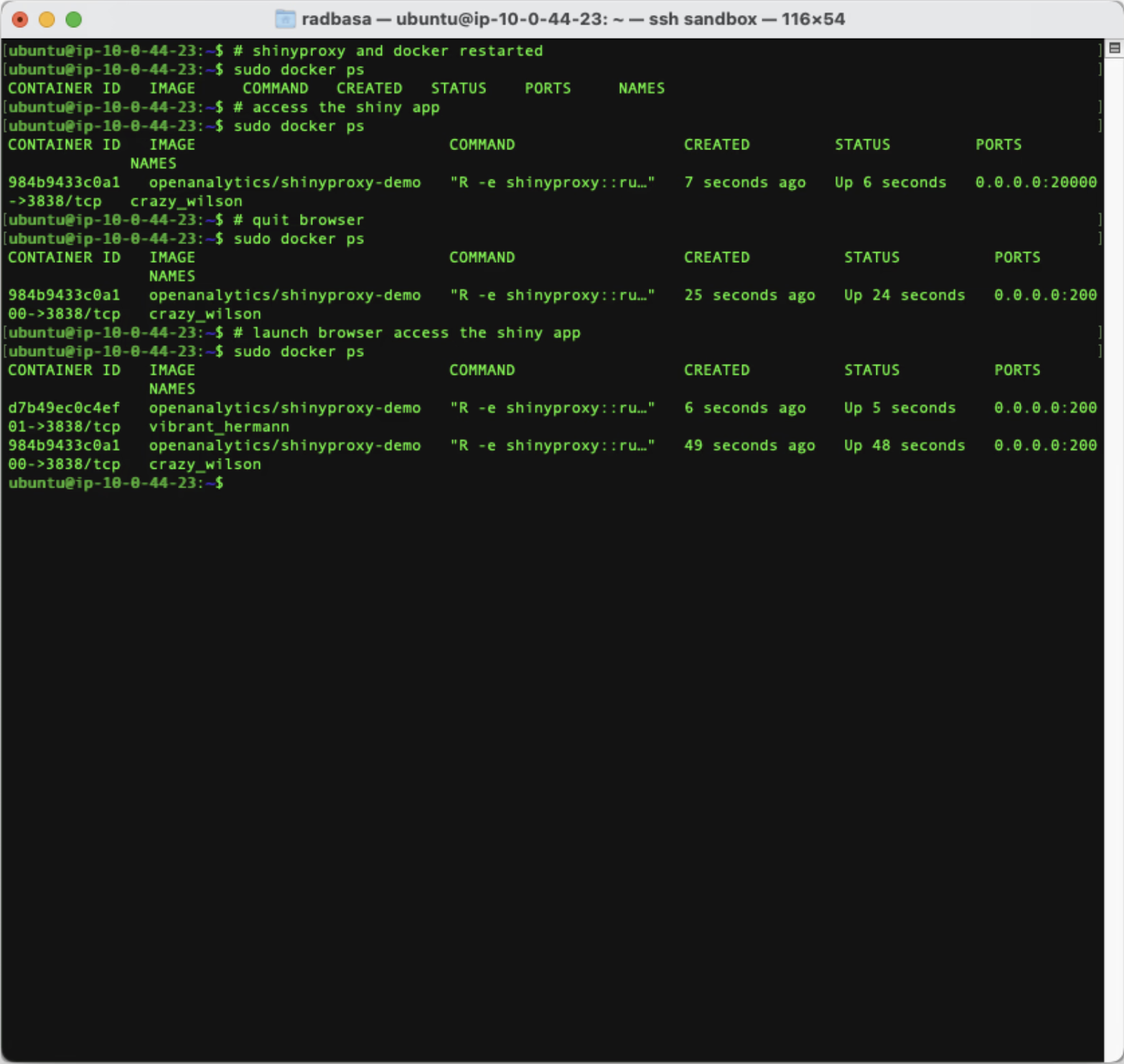 ShinyProxy vs Posit Connect: Benchmark Test for Scaling Shiny Apps