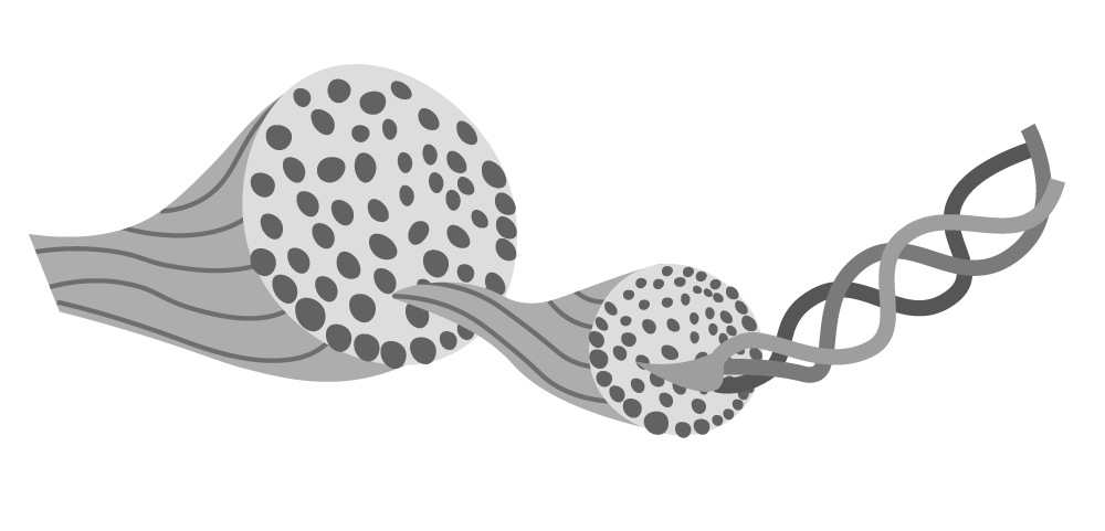 The Injury: Inside Story - test