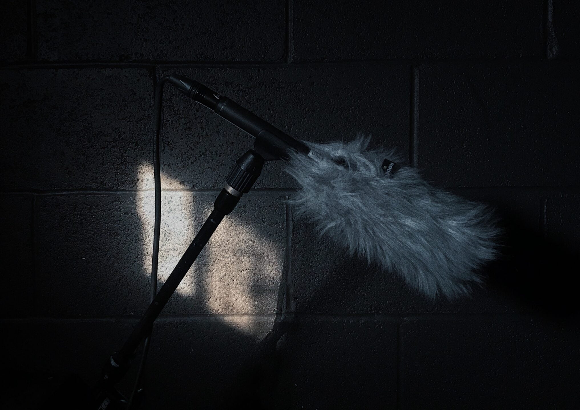 Download 10 Free Wind Sound Effects