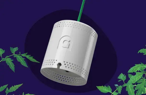 Why you need a grow room sensor
