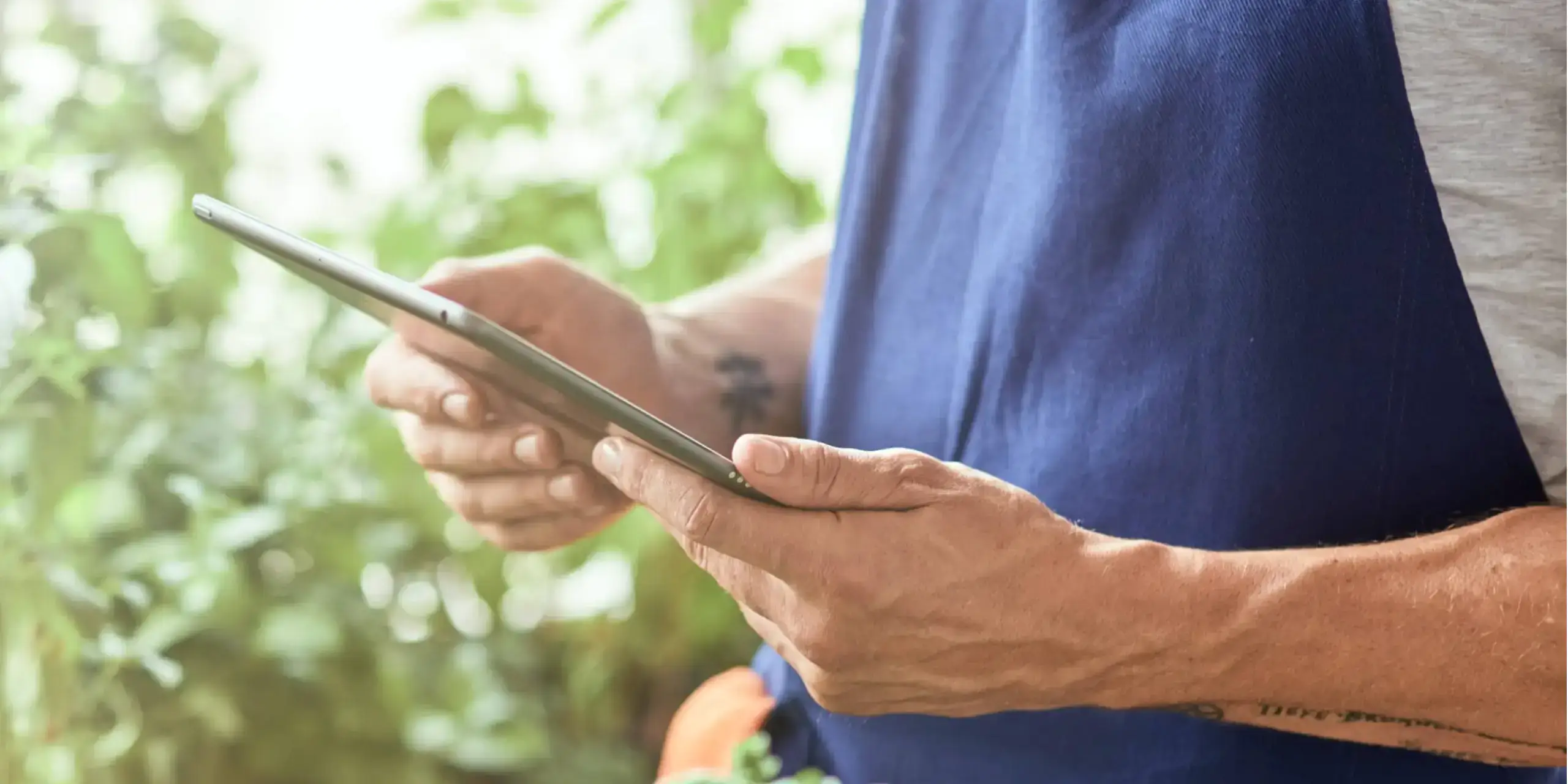 Boost quality, quantity & consistency with crop registration