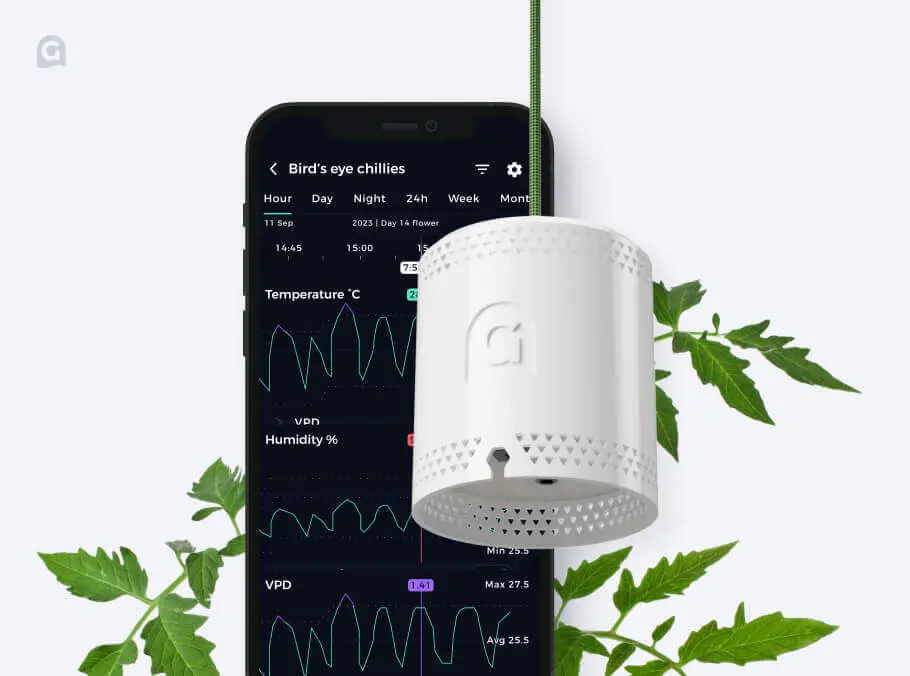 Why you need a grow room sensor
