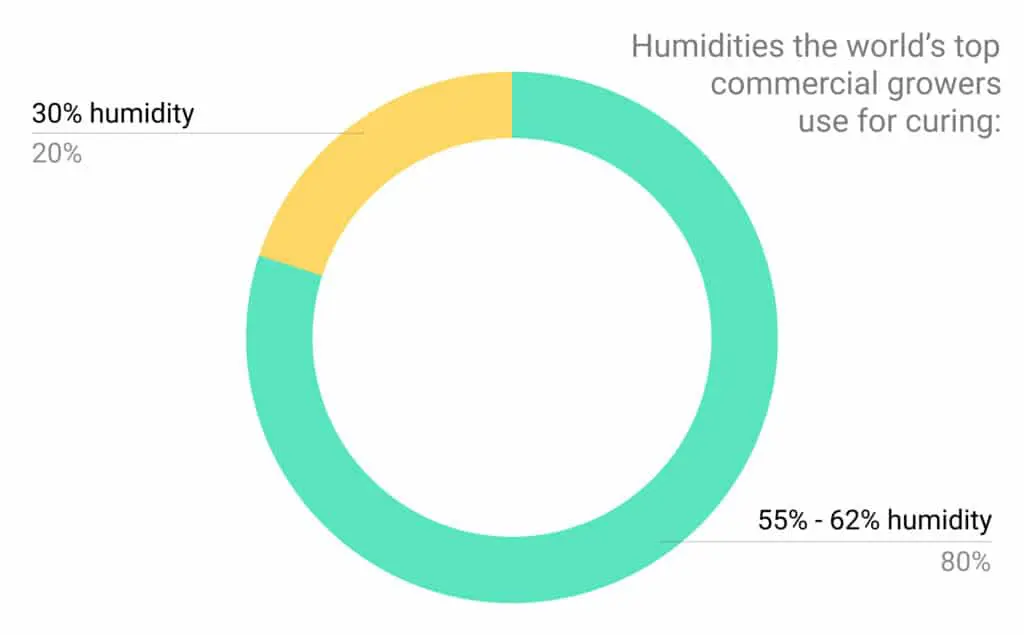 Uncover how the worlds top growers dry and cure cannabis