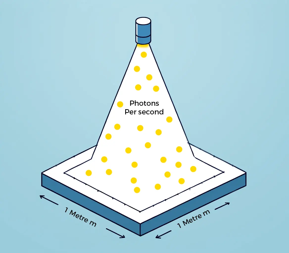 PPFD & DLI Explained: Key to Successful Indoor Planting