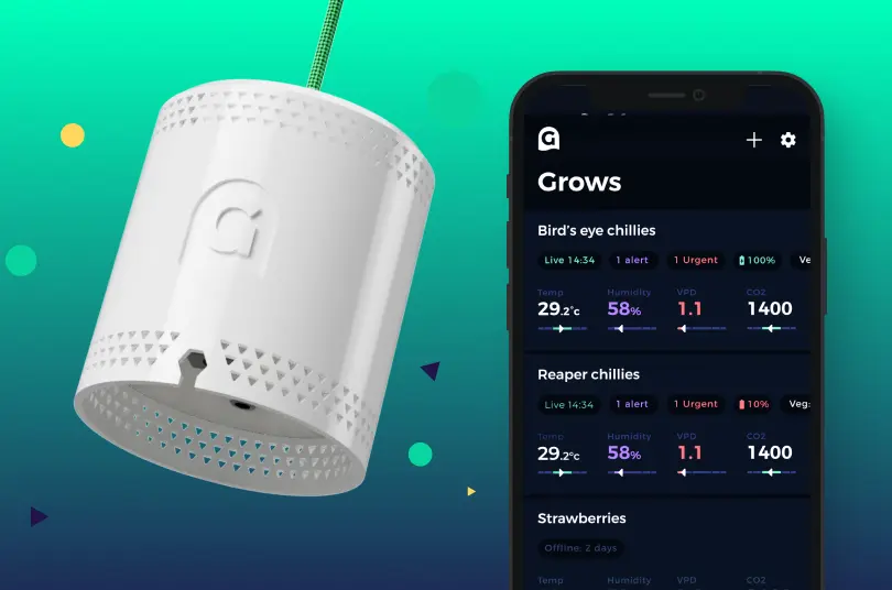 The best temp & humidity monitor to optimise your grow