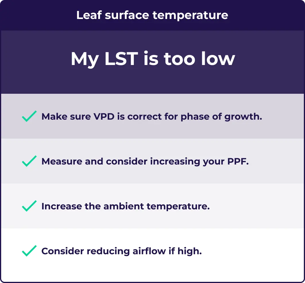 Leaf surface temperature: essential for plant health