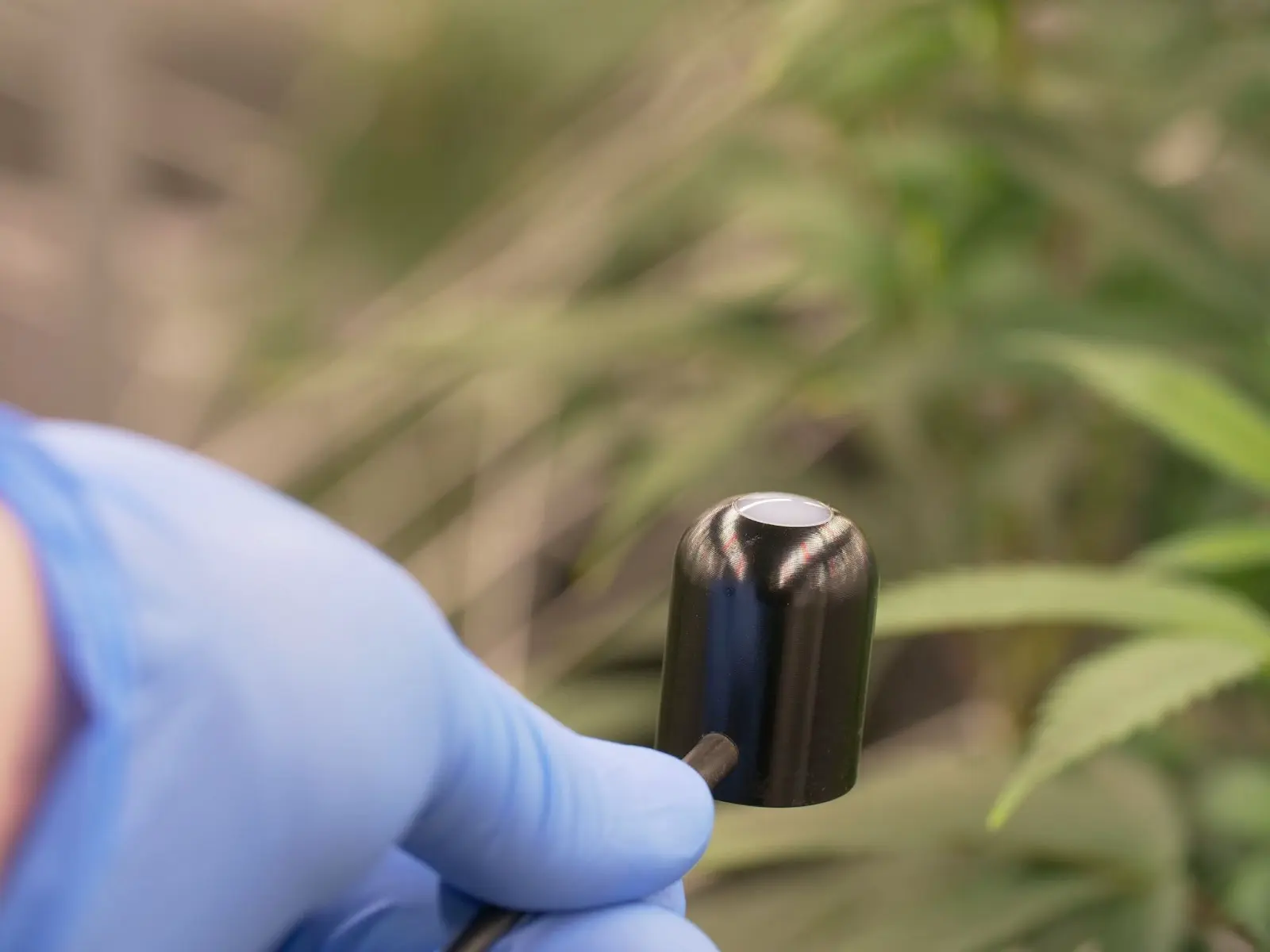 Ultimate PPFD meter for optimal grow room setup