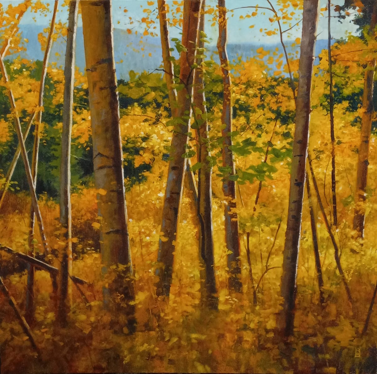 Steven S. Walker | Artist Page