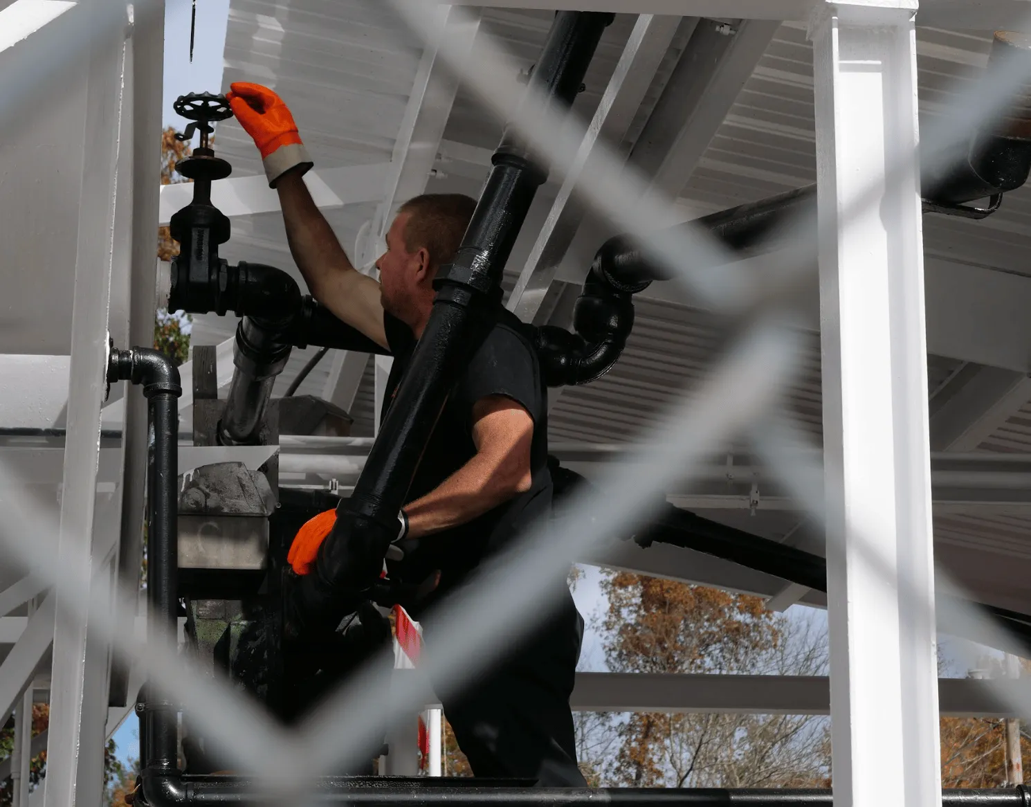 Service Pricing - T.H. Malloy