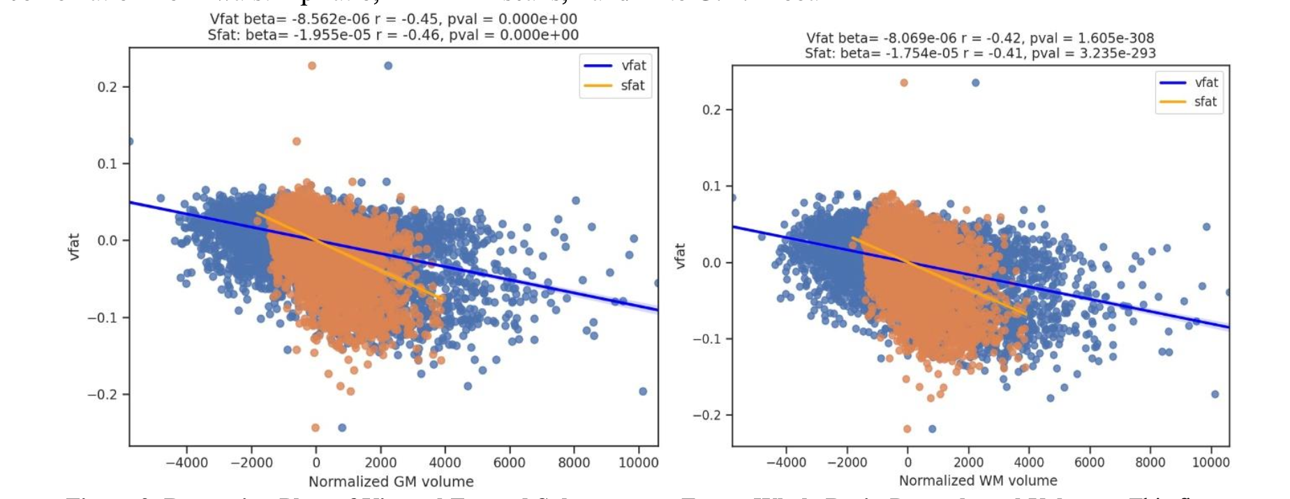 Deep Learning Derived Visceral Abdominal Fat Predicts Brain Atrophy at ...