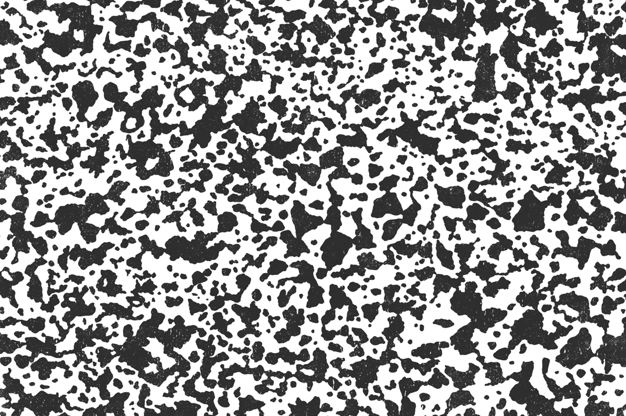 User Dashboard | Mosaiq