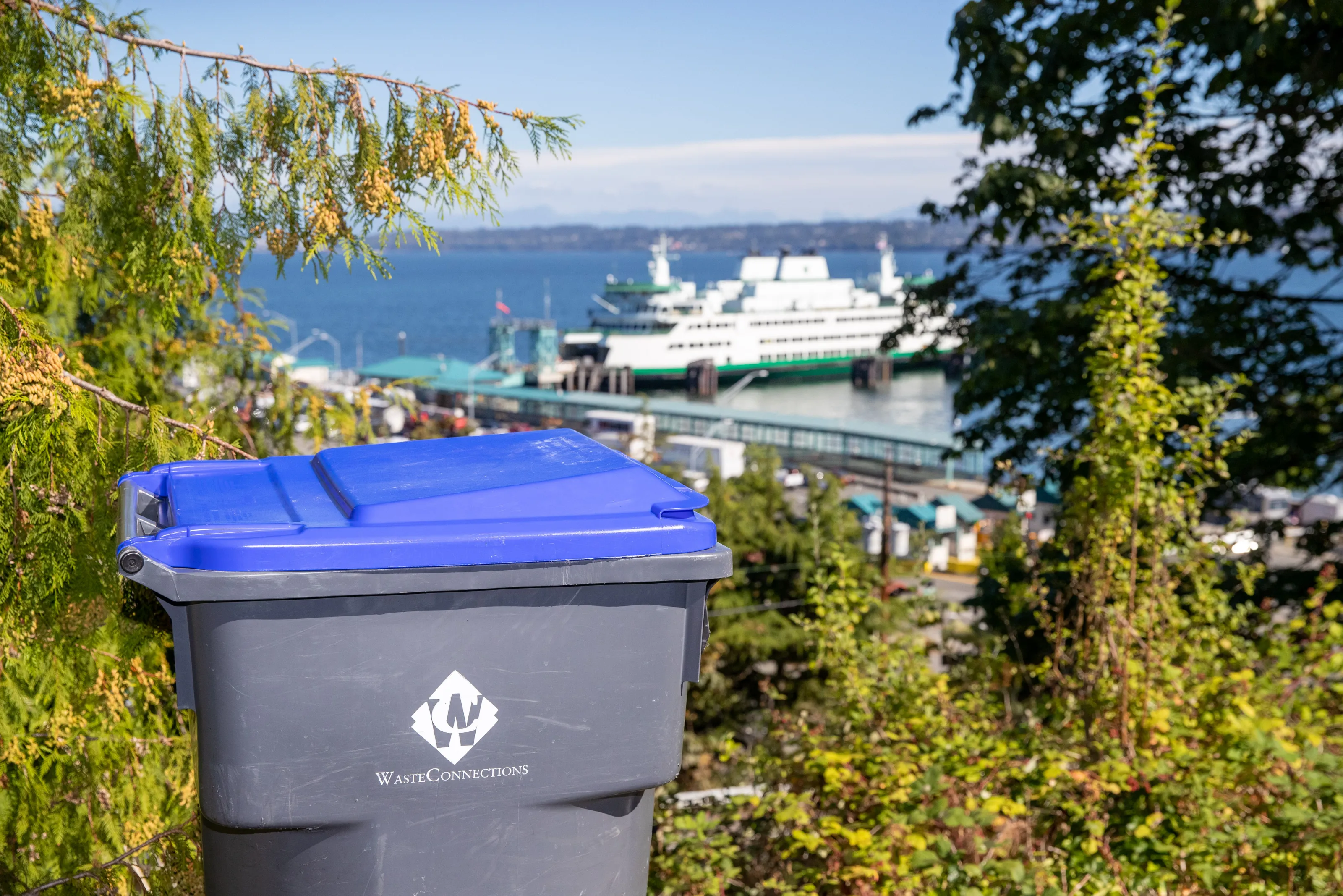 Comprehensive Recycling and Disposal Guide