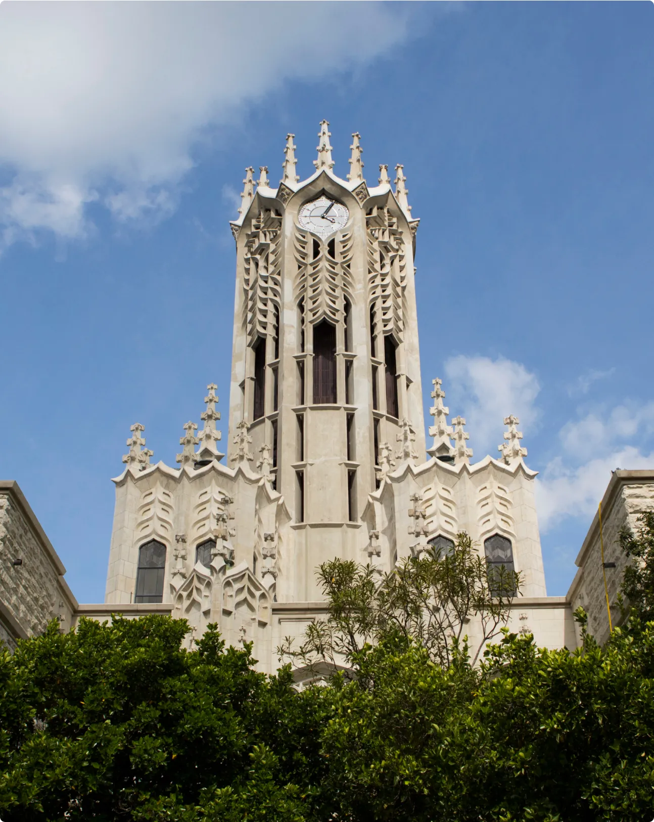 English Language Academy | Learn English with Top Courses - ELA