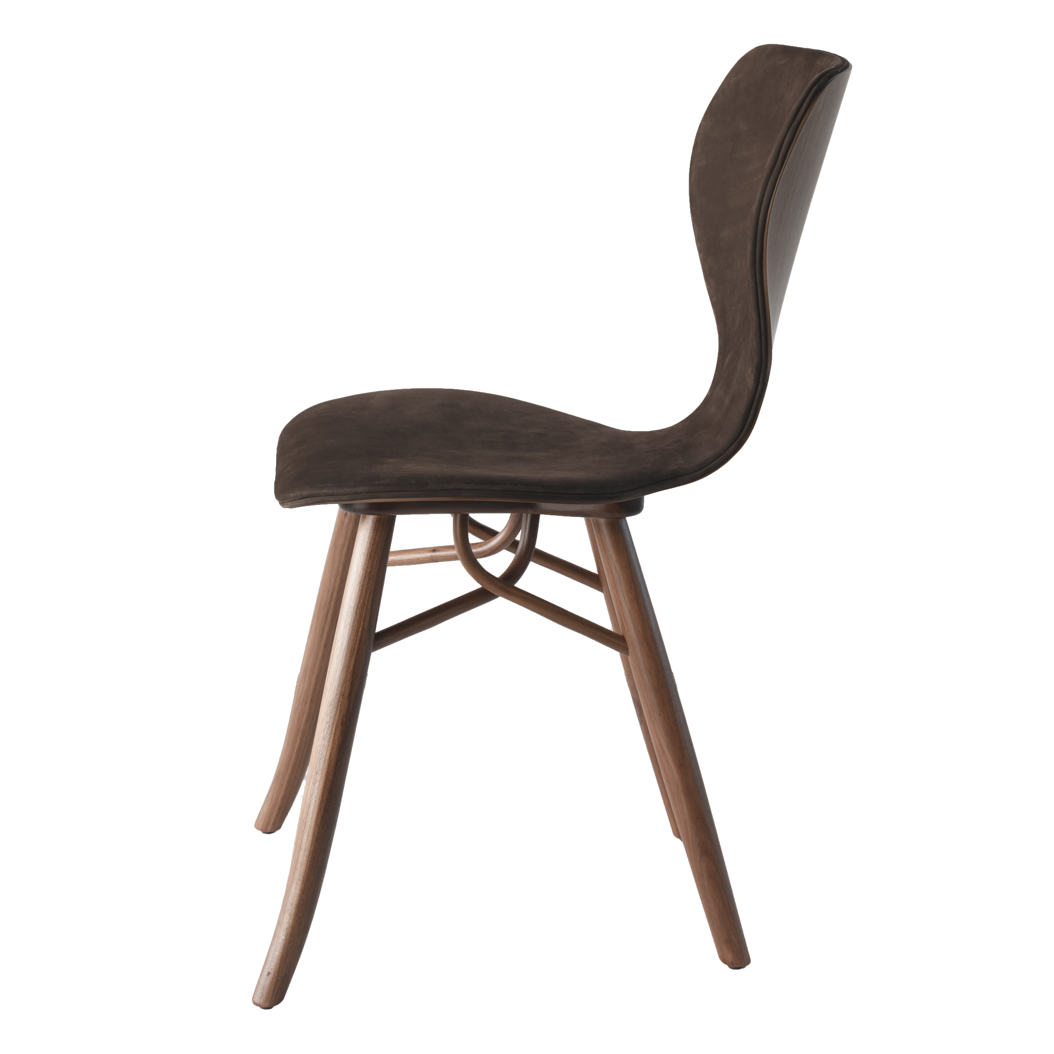 Tulipani by Studio Roderick Vos