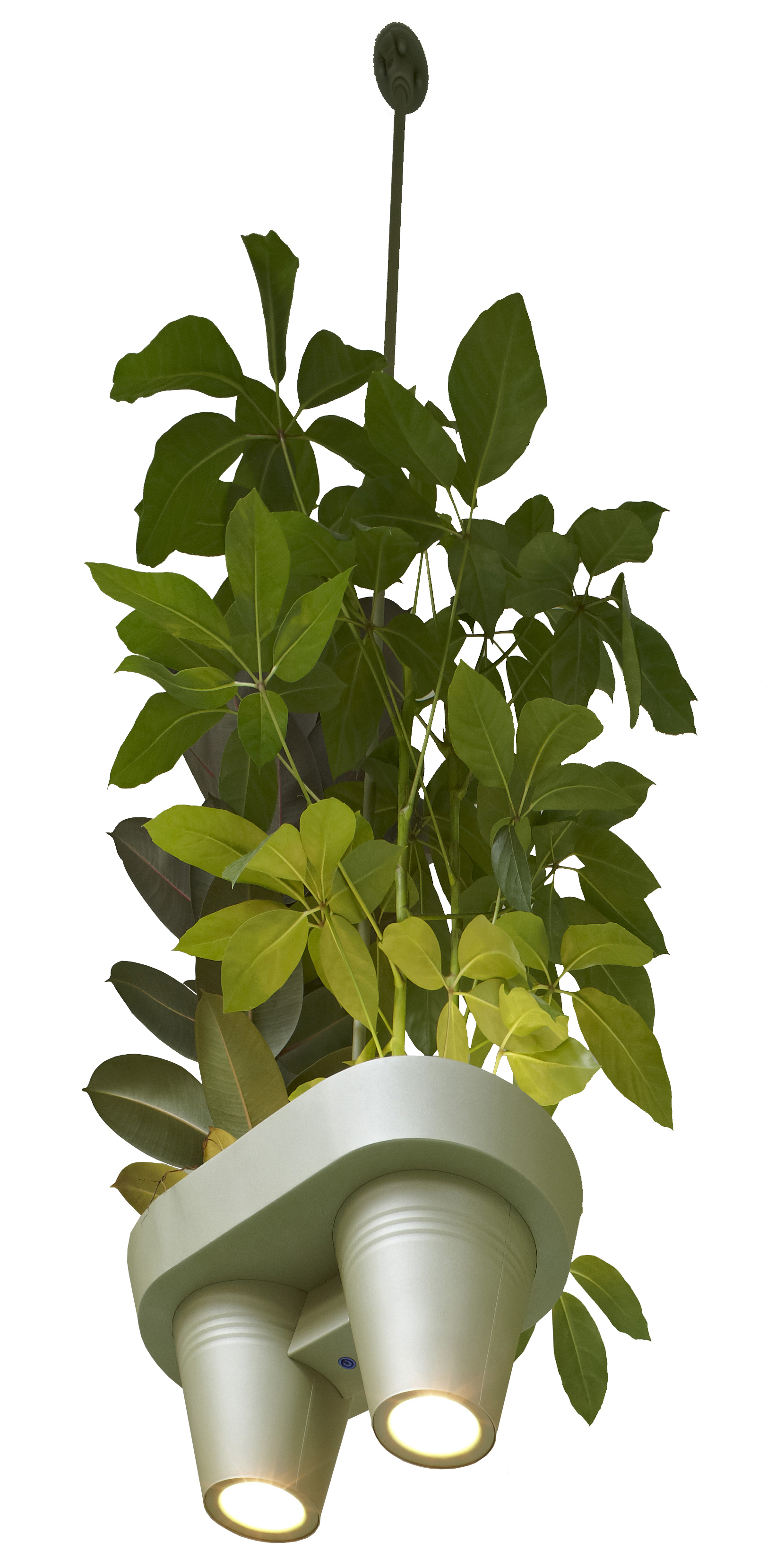 Bucketlight by Studio Roderick Vos