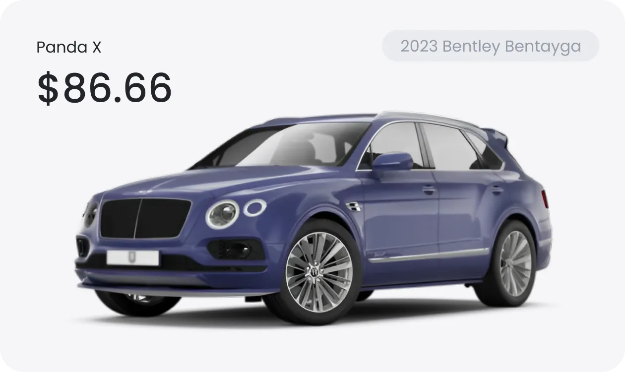 Panda Hub - Premium Car Detailing Packages