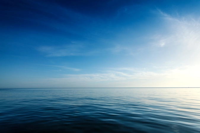 Digital Transformation as a Driver for Shipping Efficiency | Sedna