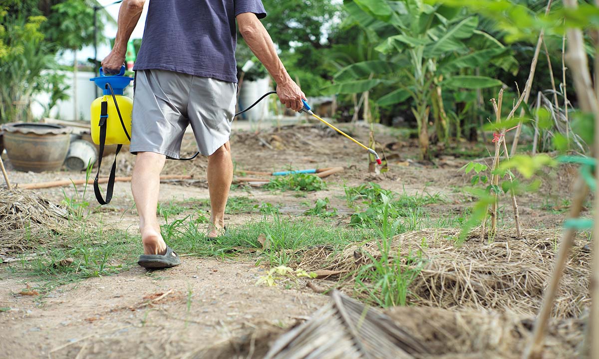 The Best Silver Weed Control Package Service in Oklahoma | Yard Solutions