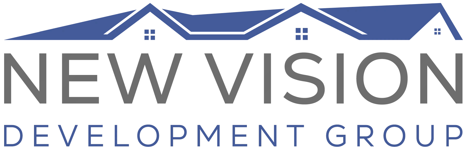 New Vision Development Group