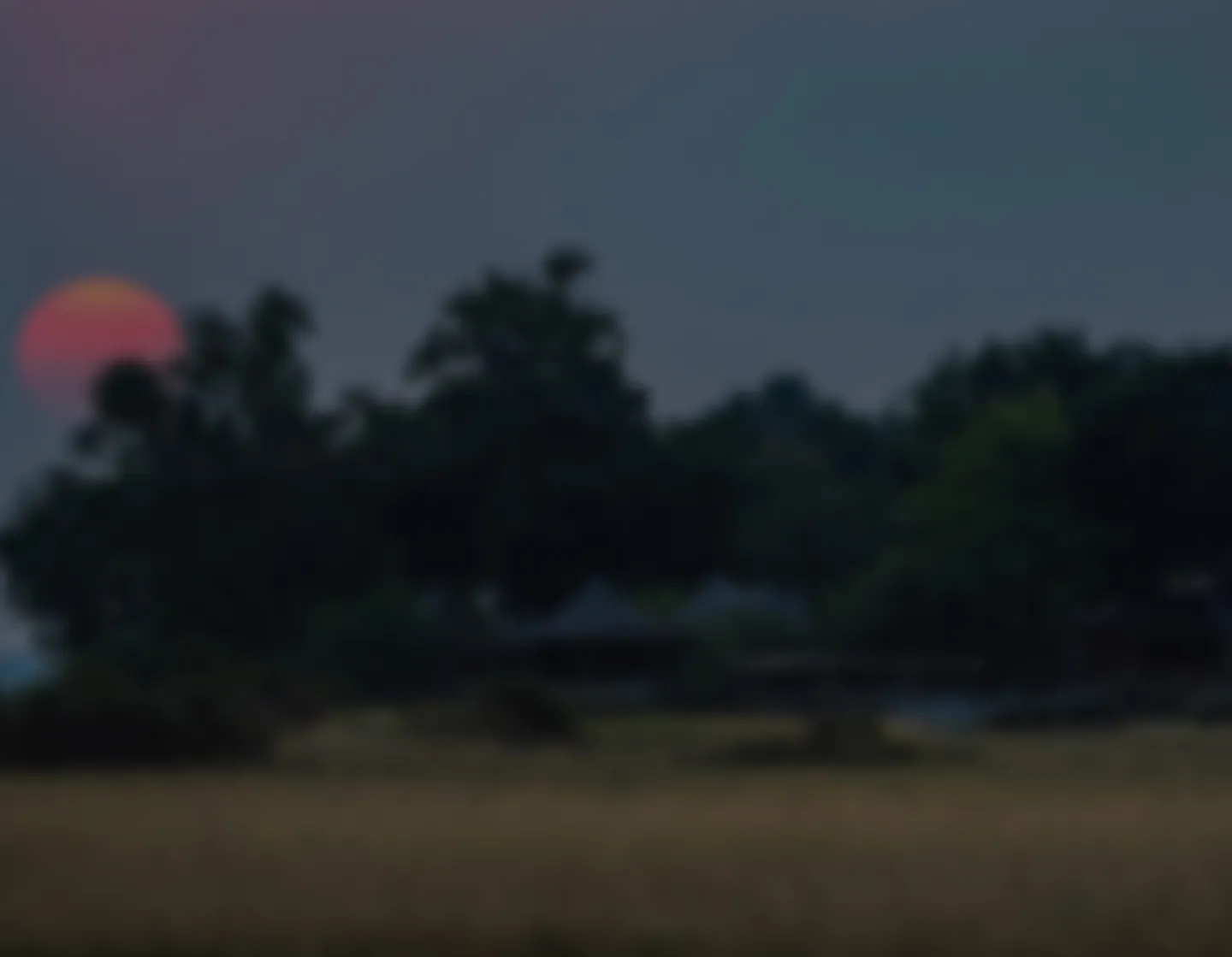 McCabe World Travel - Your Journey Starts Here