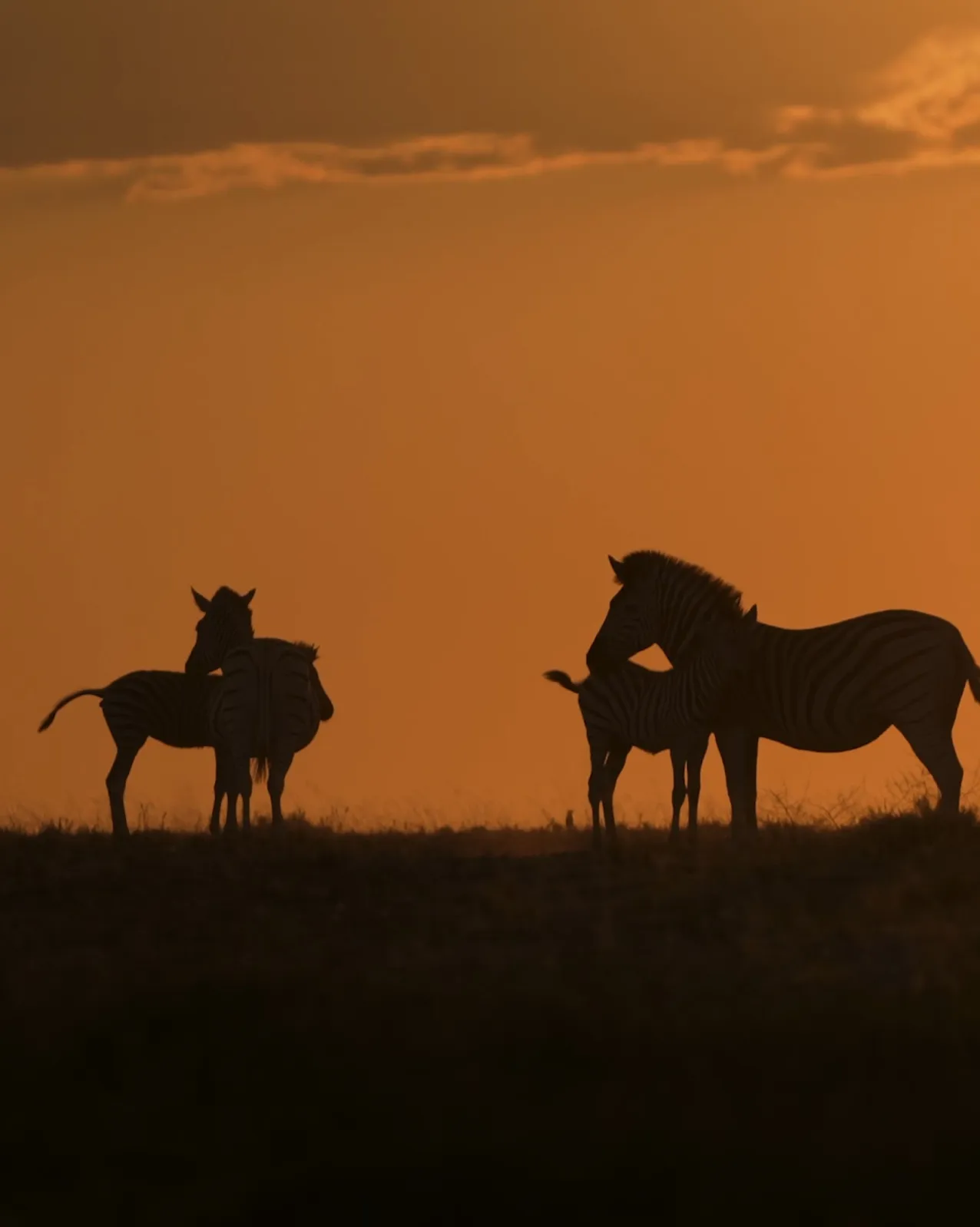 Our Approach - McCabe World Travel