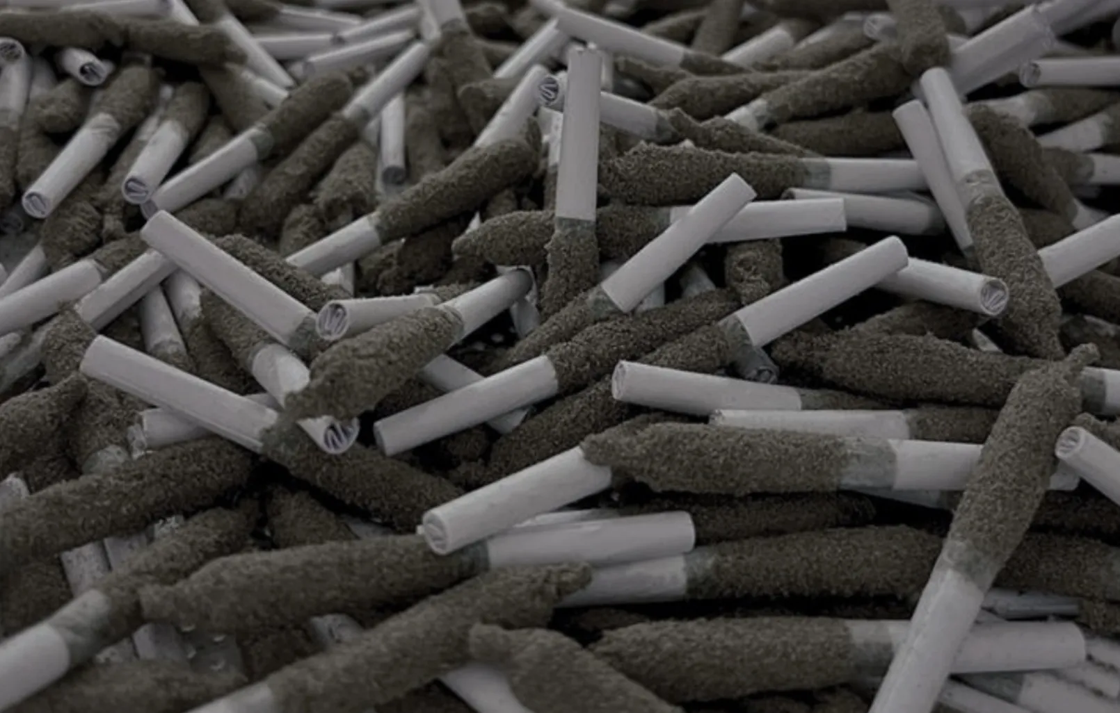 ANC Solutions | Premier Cannabis Pre-Roll Manufacturing