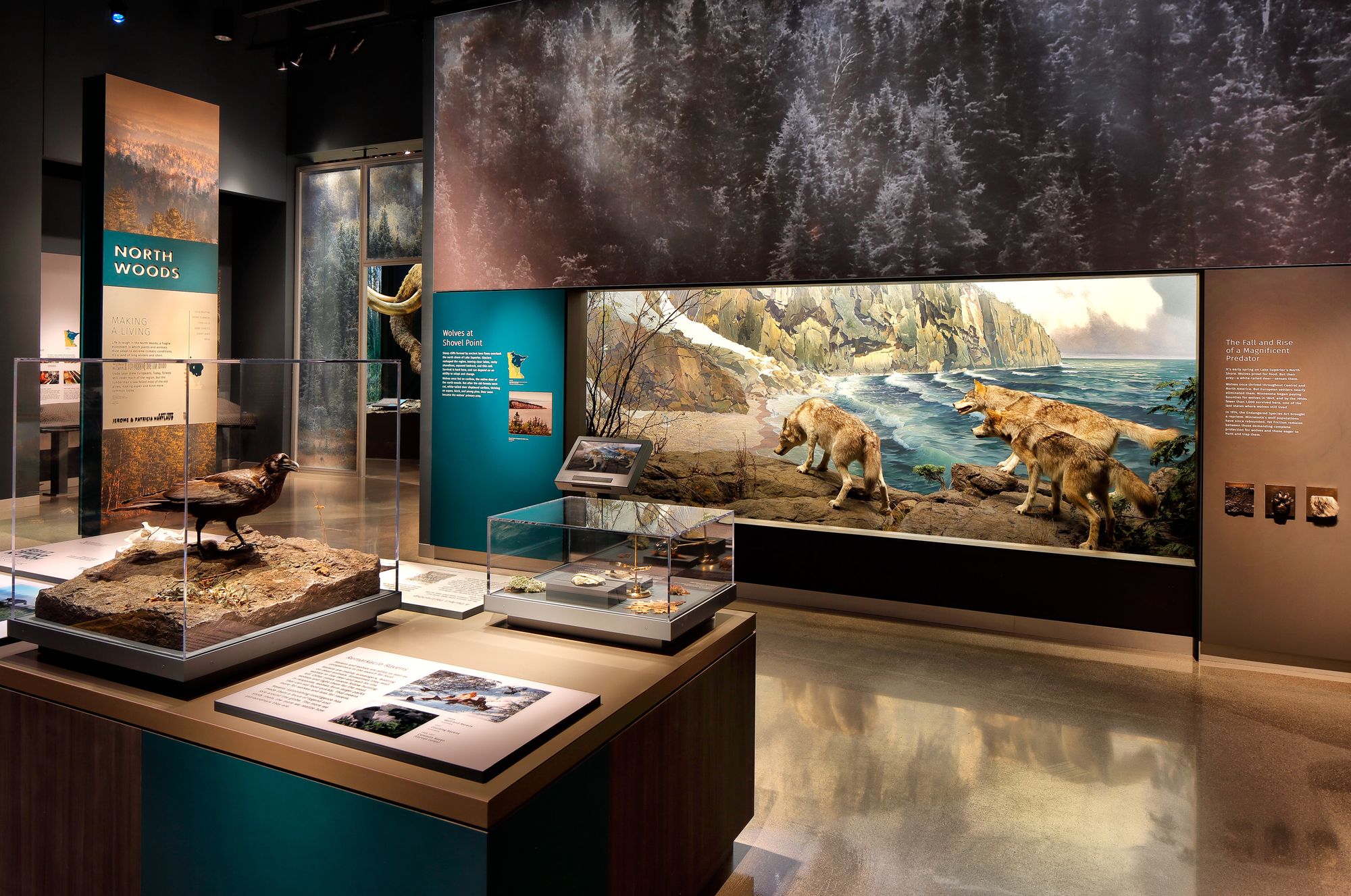 Projects | Museum Studio | London & Paris