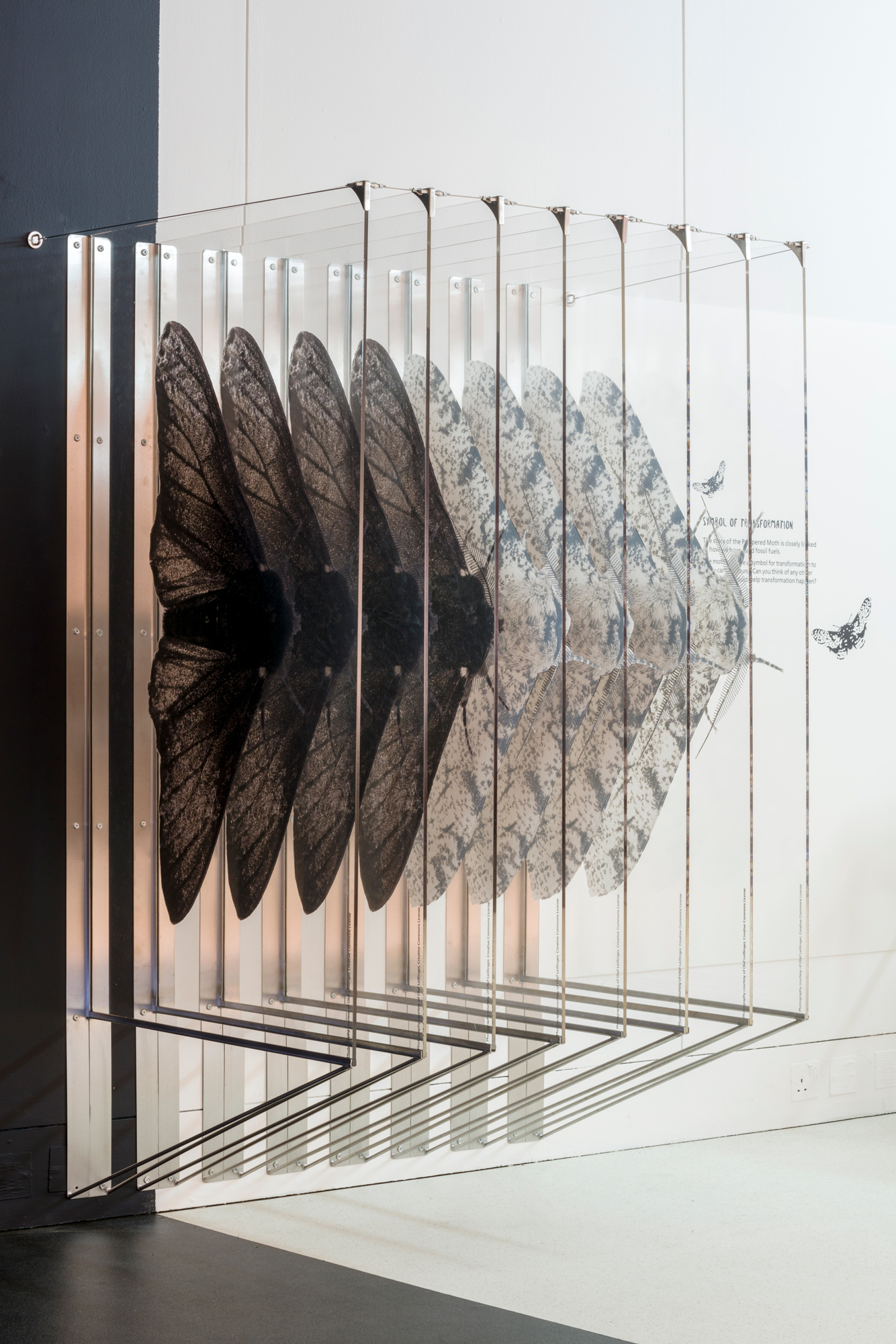 Museum Studio Projects | Climate Control, Manchester Museum ...