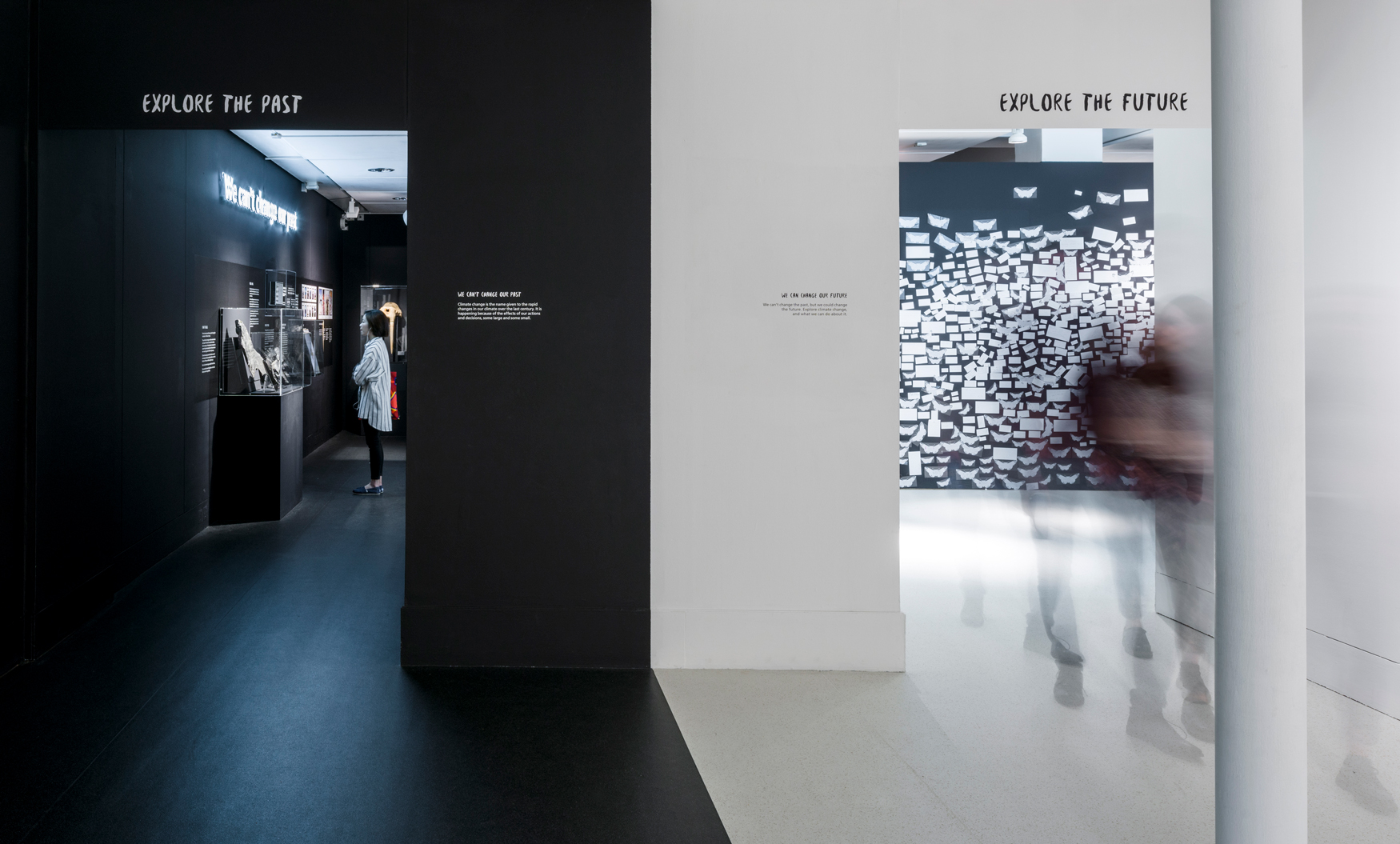 Museum Studio Projects | Climate Control, Manchester Museum ...