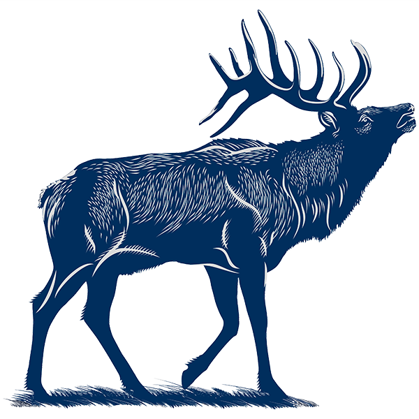 Colorado's Prime Steak
