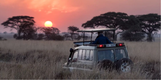 McCabe World Travel - Your Journey Starts Here