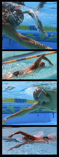 FREESTYLE - Hand-Entry Position | GoSwimTV Blog