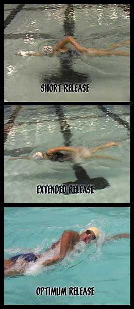 FREESTYLE - Short Release | GoSwimTV Blog