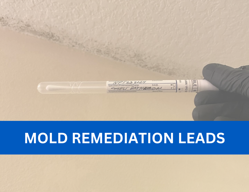 Exclusive Mold Remediation Lead