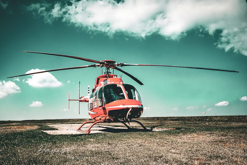 Yehoshua Davis Photography | Simchas | Portraits | Wildlife