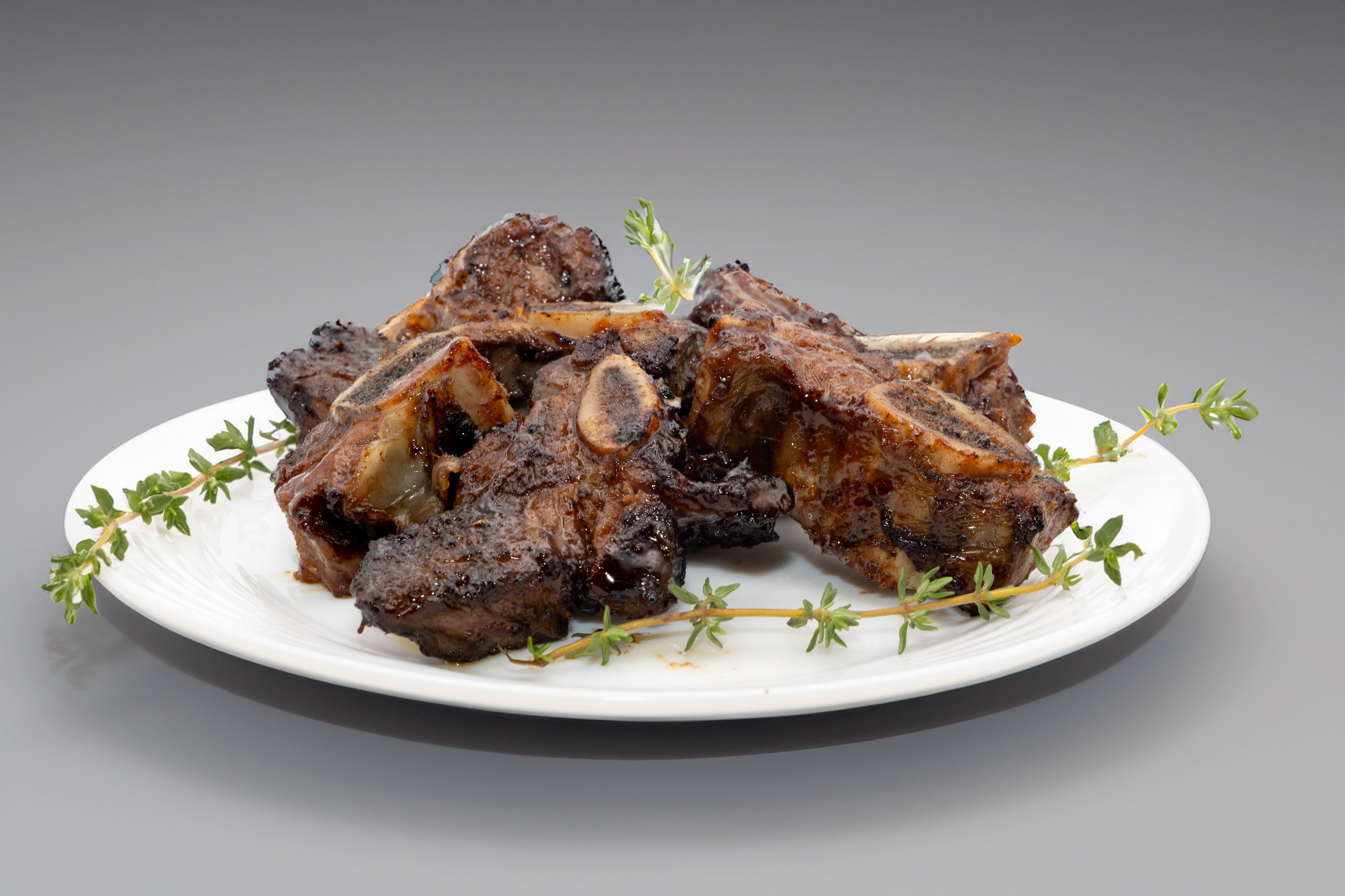 Yehoshua Davis Photography | Simchas | Portraits | Wildlife