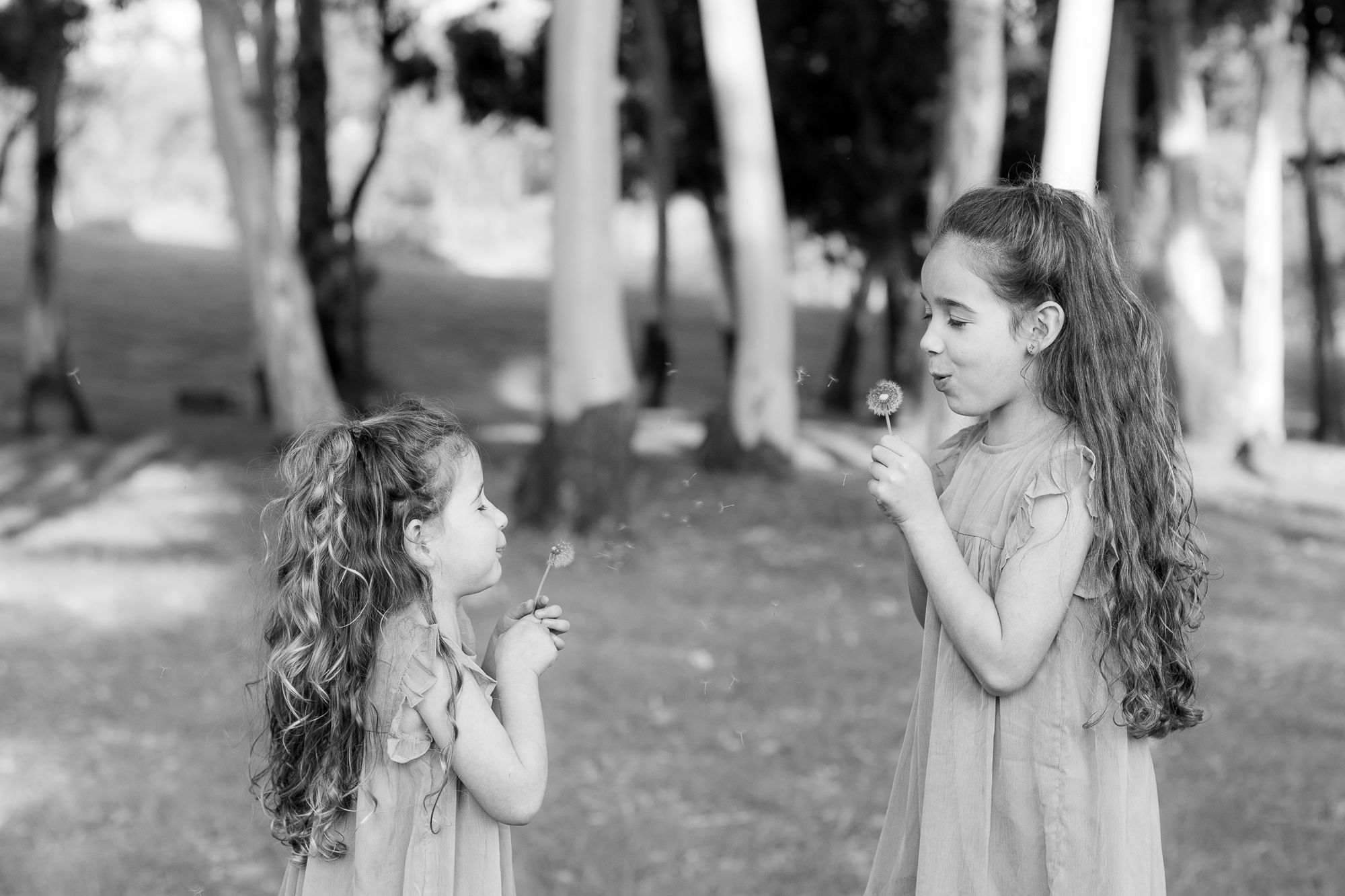 Yehoshua Davis Photography | Simchas | Portraits | Wildlife